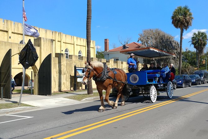 #1 Historical Horse Drawn Carriage Tour - Practical Tips