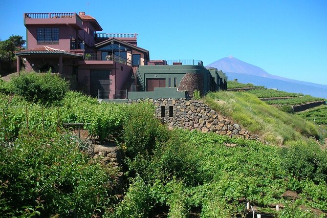 1 Hour and Half Mojo Sauce Workshop With Winery Tour - Who Should Consider This Tour?