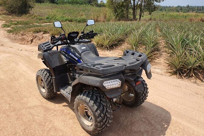 1 Hour ATV Off Road Adventure In Pattaya - The Full Experience: What You Can Expect During the Tour