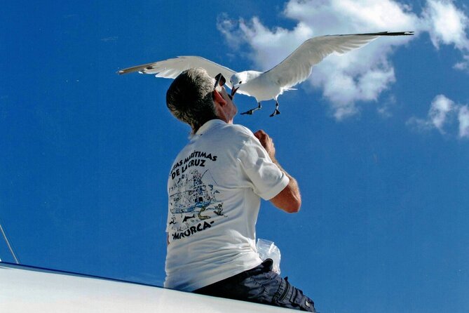 1-Hour Boat Trip Around the Port of Mahón - Highlights of the Experience