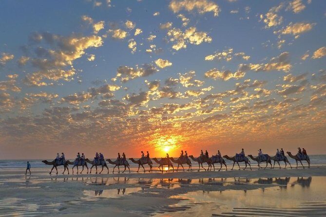 1 Hour Broome Sunset Camel Tour - Assessing the Value
