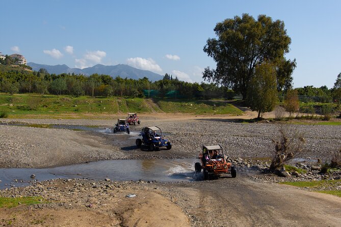 1 Hour Buggy Safari Experience in the Mountains of Mijas with Guide - Key Points