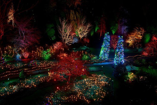 1 hour City Tour & Butchart Gardens: Christmas - Entry included! - Introduction