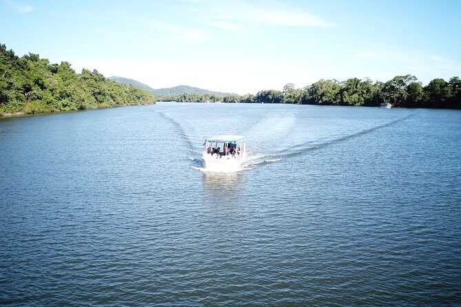 1-Hour Daintree River wildlife cruise - Final Thoughts