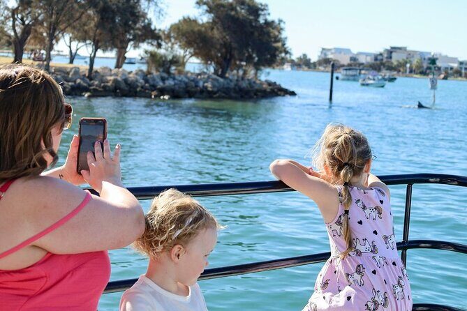 1 Hour Deluxe Scenic Dolphin Cruise - Final Thoughts
