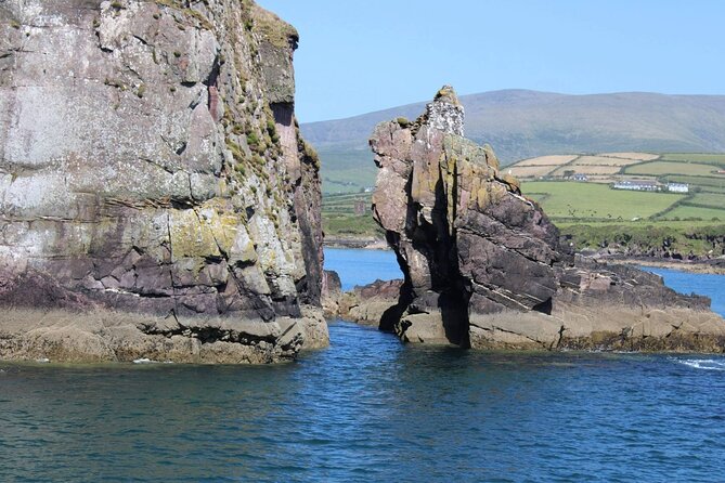 1 Hour Dingle Bay Cliff Tour - Tour Overview