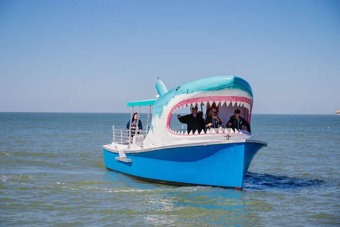 1-hour Dolphin Sightseeing Adventure Cruise from Madeira Beach - Discover the 1-hour Dolphin Sightseeing Adventure Cruise from Madeira Beach