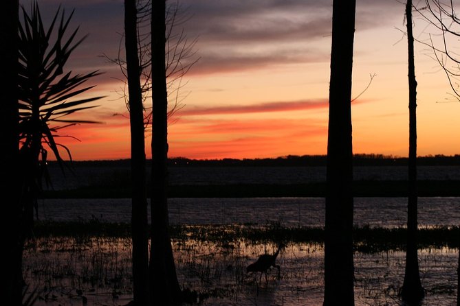 1-Hour Evening Airboat Ride - Recommendations for Your Adventure
