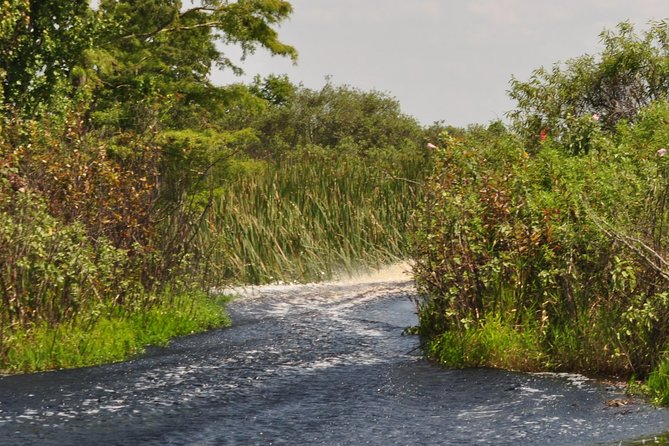 1 Hour Everglades Airboat Tour Central Florida - Traveler Reviews and Feedback
