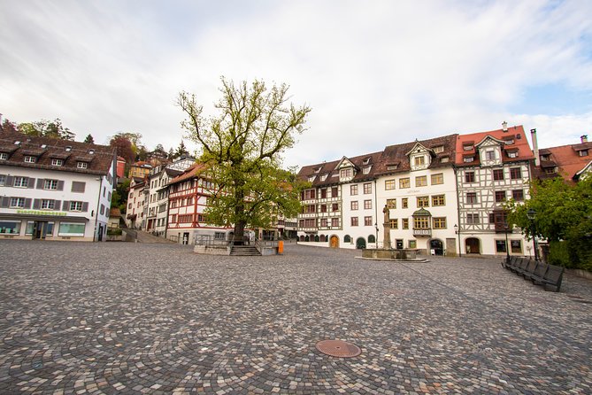 1 Hour Express Walk of St. Gallen with a Local - Who Should Consider This Tour?