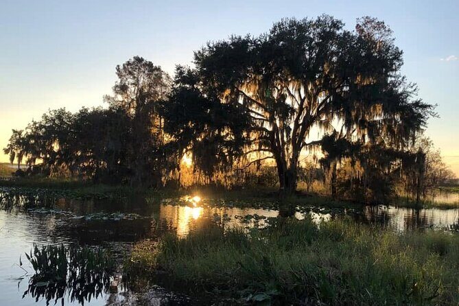1 Hour Florida Everglades Wildlife Tour - Why Choose This Tour?