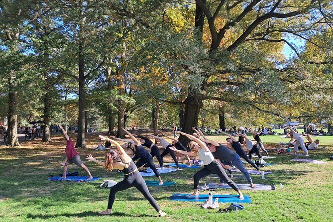 1 Hour Group Yoga Class in Central Park - Introduction