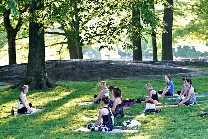 1 Hour Group Yoga Class in Central Park - Authenticity and Experience