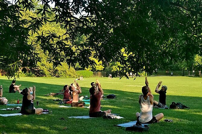 1 Hour Group Yoga Class in Central Park - Why This Experience Works