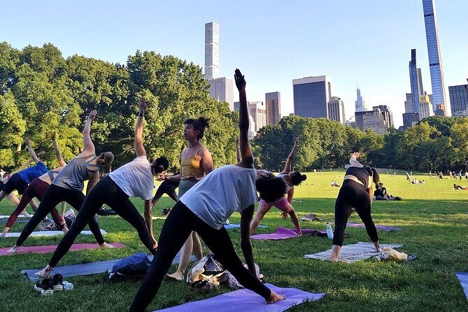 1 Hour Group Yoga Class in Central Park - Who Should Consider This Tour?
