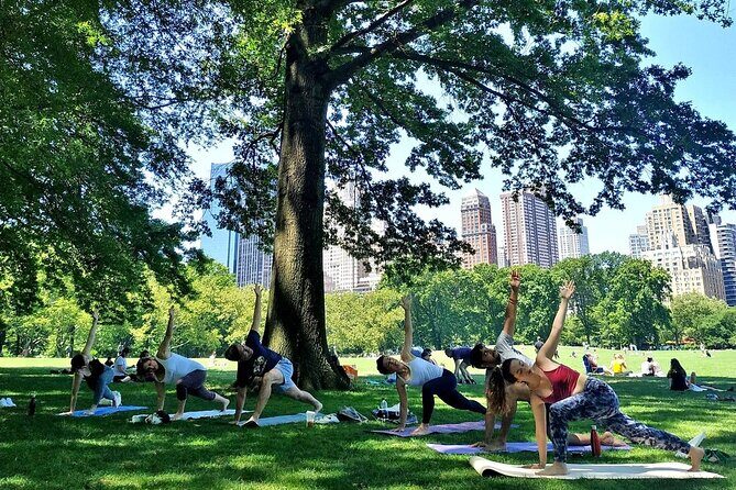 1 Hour Group Yoga Class in Central Park - Final Thoughts