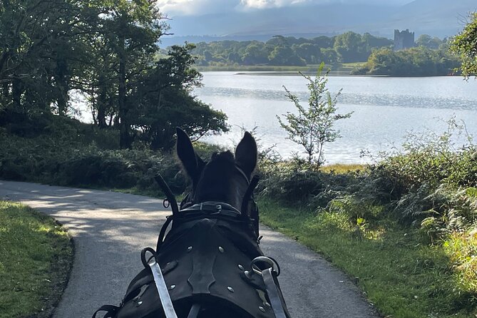 1 Hour Guided Carriage Tour in Killarney National Park - Accessibility and Requirements