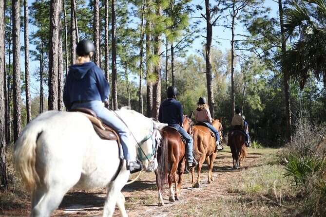 1 Hour Guided Horseback Trail Ride Rock Springs Run State Reserve - Exploring the 1-Hour Guided Horseback Trail Ride at Rock Springs Run State Reserve