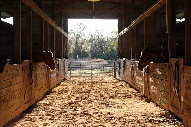 1 Hour Guided Horseback Trail Ride Rock Springs Run State Reserve - Key Points