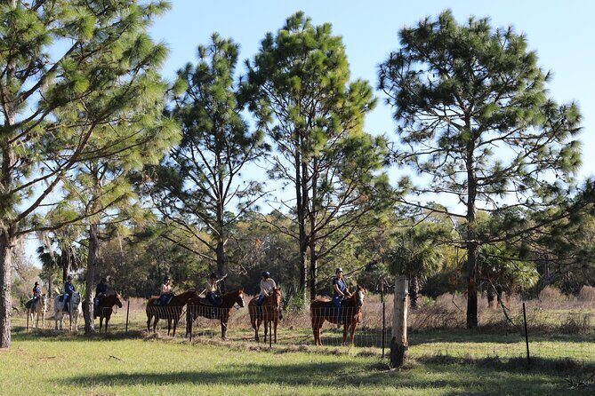 1 Hour Guided Horseback Trail Ride Rock Springs Run State Reserve - The Experience of the Ride