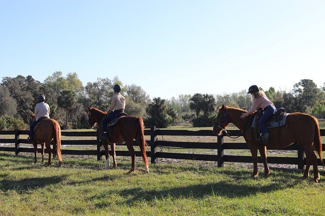 1 Hour Guided Horseback Trail Ride Rock Springs Run State Reserve - Practical Details and Value