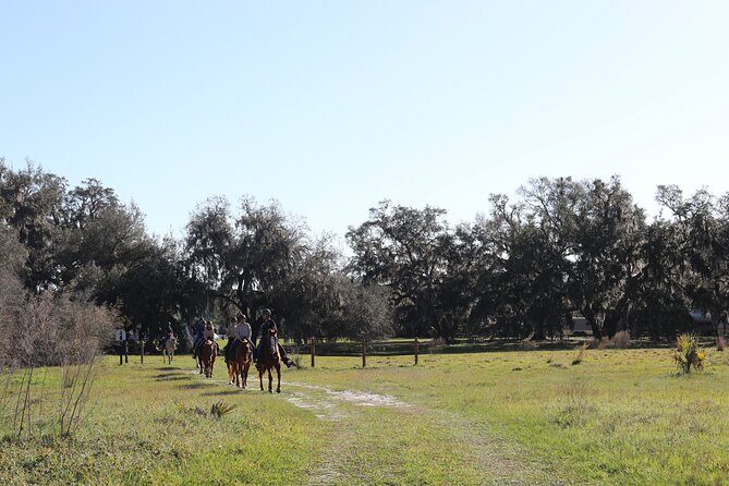 1 Hour Guided Horseback Trail Ride Rock Springs Run State Reserve - Authentic Feedback from Participants