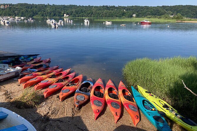 1 Hour Guided Kayak Tour in Cold Spring Harbor NY - The Sum Up
