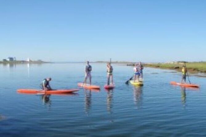 1 Hour Guided SUP/Kayak Tour in Pelican Bay at Fort Myers Beach - An In-Depth Look at the Pelican Bay SUP/Kayak Tour