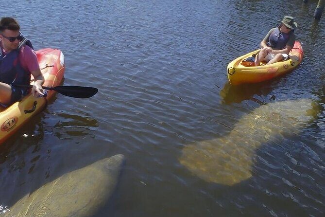 1 Hour Guided SUP/Kayak Tour in Pelican Bay at Fort Myers Beach - FAQ