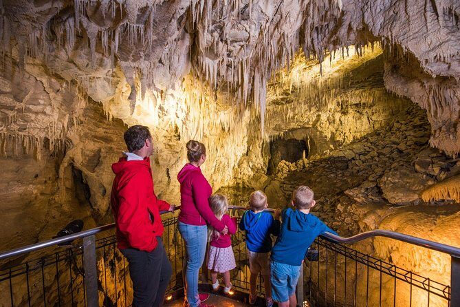 1-Hour Guided Tour of Aranui Cave Waitomo - The Sum Up: Is This Tour Right for You?