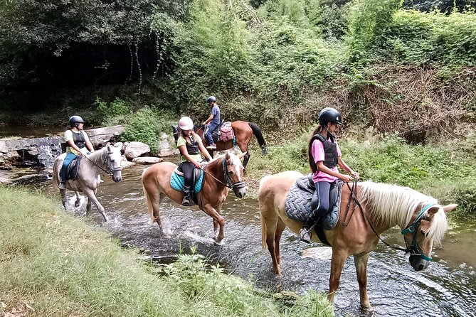 1 hour horseback ride in Valgraziosa Pisa - The Experience in Practice: Authentic and Scenic
