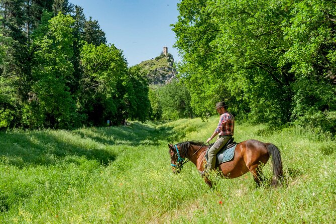 1 hour horseback ride in Valgraziosa Pisa - The Sum Up: A Peaceful and Authentic Way to Experience Tuscany