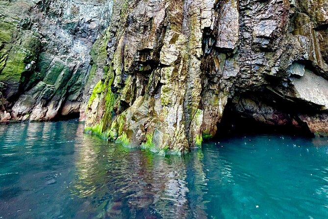 1 Hour Iceland Nature and Wildlife RIB Small Group Guided Safari - Important Participant Information