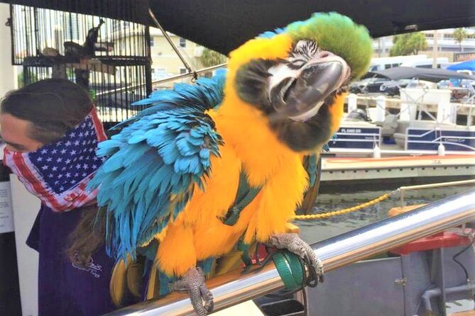 1-Hour Interactive Pirate Cruise (arrive 30 minutes early) - The Review from Travelers