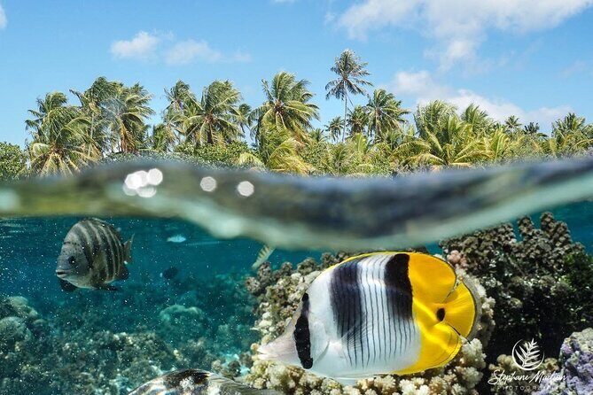1-hour jet ski excursion in Tahiti - Final Thoughts