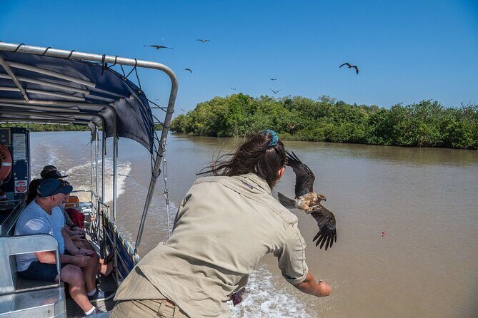 1 Hour Jumping Crocodile Cruise on the Adelaide River - The Sum Up