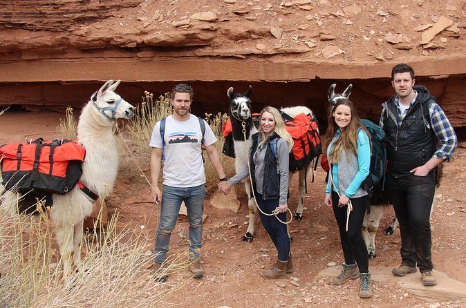 1-Hour Llama Hike Family Friendly and Fun - Practical Considerations