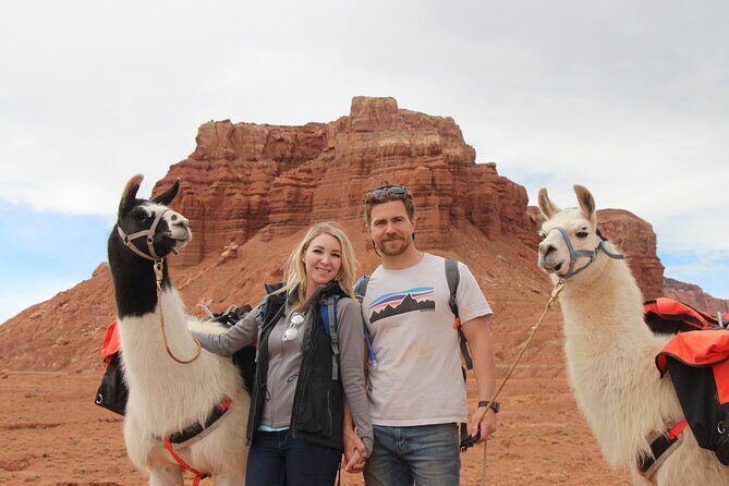 1-Hour Llama Hike Family Friendly and Fun - Final Thoughts