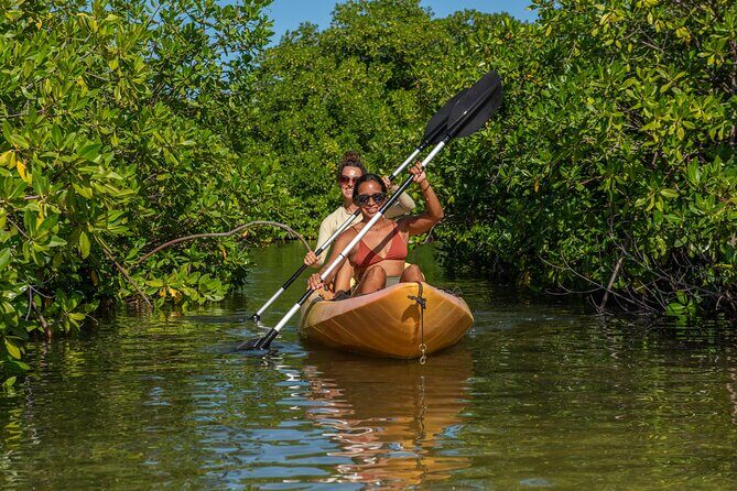 1 Hour Mangrove Kayak Tour - Exploring Bonaire’s Mangrove Ecosystem