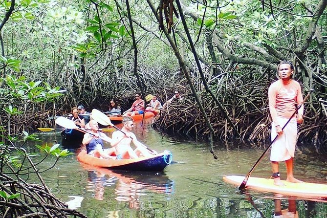1 Hour Mangrove Tour From Lembongan with Kayak, Paddle, or Boat - Exploring the Mangrove Forest by Kayak or Paddleboard
