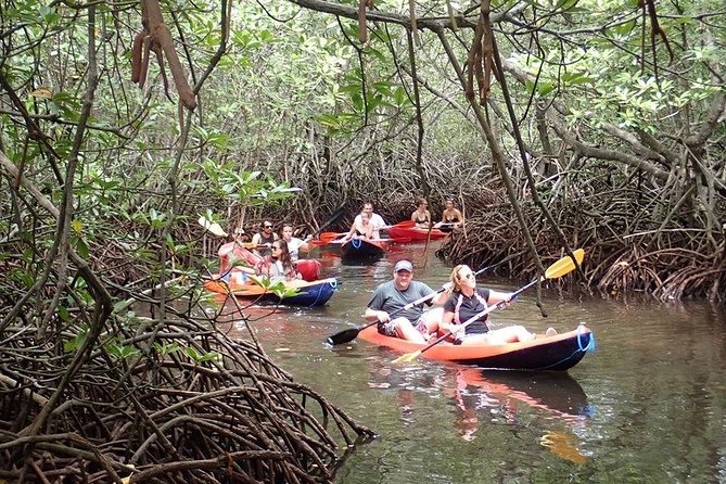 1 Hour Mangrove Tour From Lembongan with Kayak, Paddle, or Boat - Additional Considerations