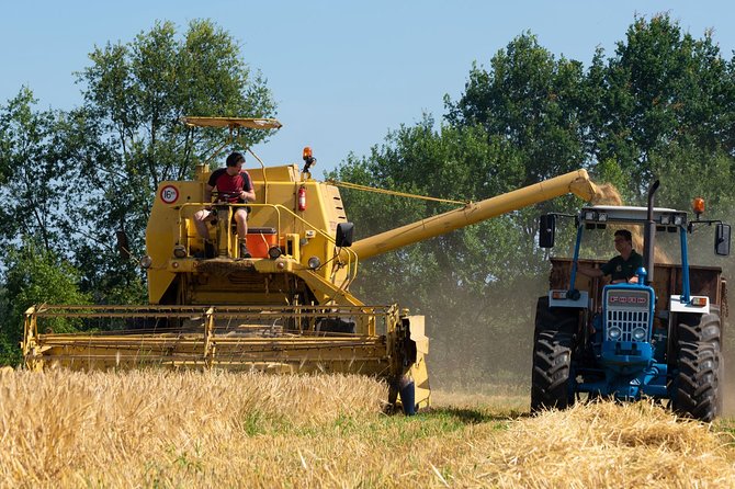 1 Hour of Whisky Distillery Experience - Tour Details