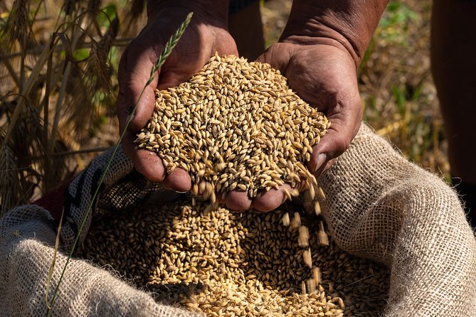 1 Hour of Whisky Distillery Experience - Booking Information