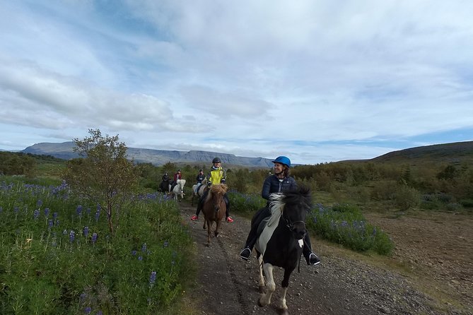 1+ Hour Private Horse Riding Tour From Reykjavík/Mosfellsbær - Exploring Mount Úlfarsfell on Horseback