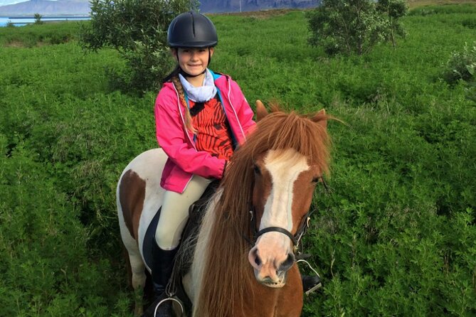 1+ Hour Private Horse Riding Tour From Reykjavík/Mosfellsbær - Traveler Feedback and Experiences
