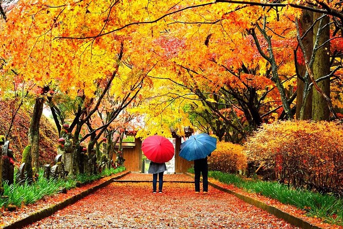 1 Hour Private Photoshoot in Tokyo - Pricing and Inclusions