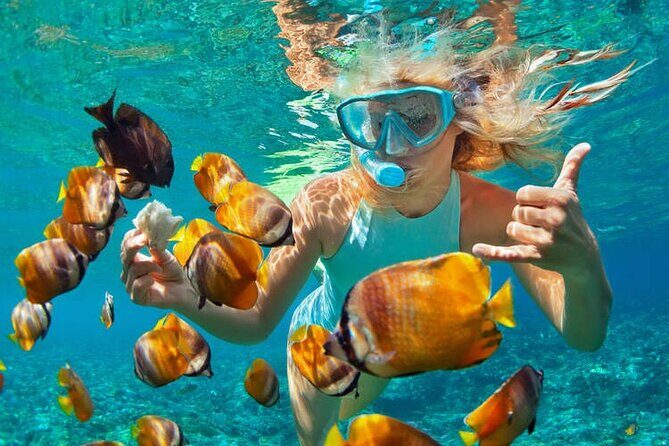1 Hour Private Snorkeling Activity In Montego Bay - Key Points