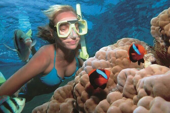1 Hour Private Snorkeling Activity In Montego Bay - The Sum Up: Who Should Consider This Tour?