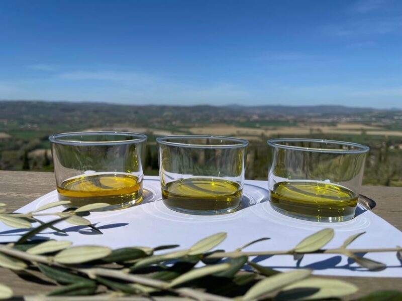 1-Hour Private Tour of the Oil Mill with Tasting - The Itinerary: What to Expect