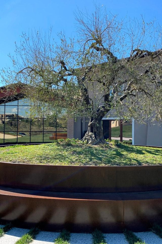 1-Hour Private Tour of the Oil Mill with Tasting - The Value of This Experience